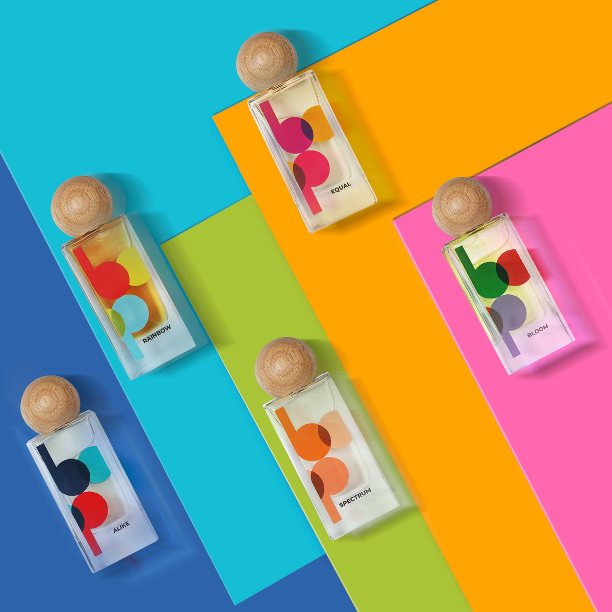 Our Collection – bop